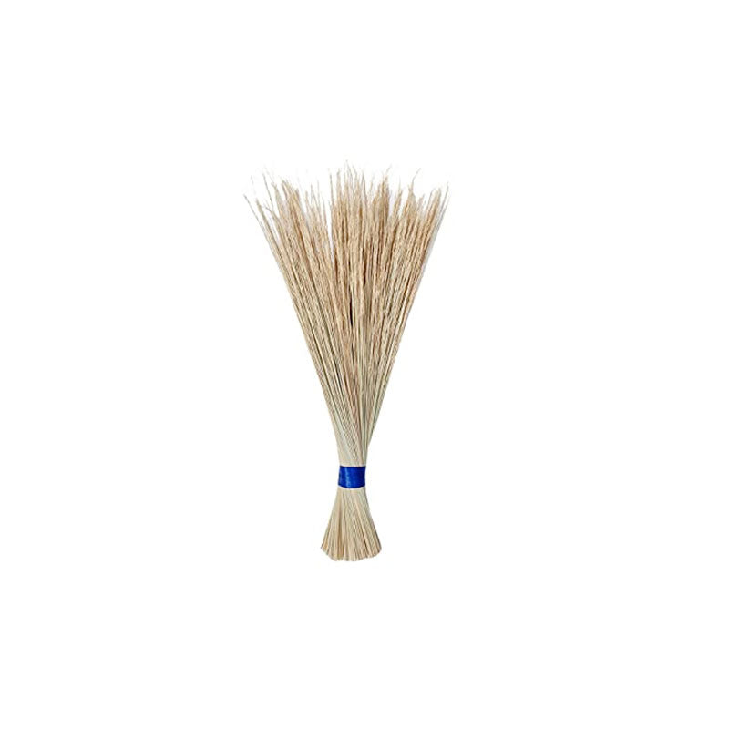 Stiff Broom – RGM.COM.PH